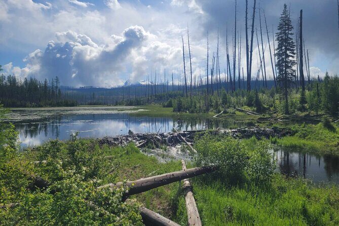 Nature Walk in Glacier National Park - What to Bring