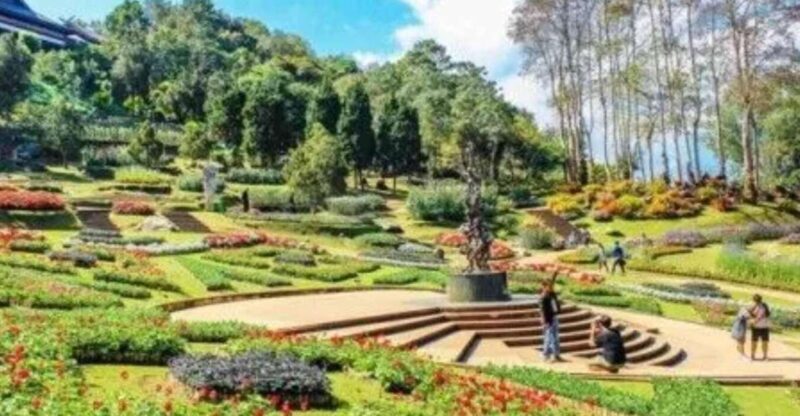 Nature Walk of Chandigarh( 2 Hours Walking Tour) - An In-Depth Look at the Nature Walk Experience in Chandigarh