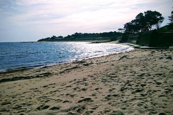 Nature walk to discover Noirmoutier and its charms - Exploring Noirmoutier: A Nature Walk that Reveals Its Hidden Charms