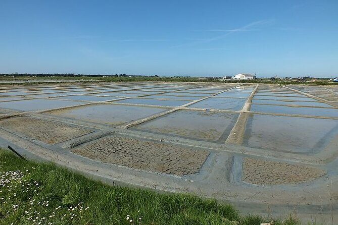 Nature walk to discover Noirmoutier and its charms - An Overview of What Makes This Tour Special