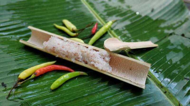 Nature wellness retreat - Introduction: A Wellness Journey in Luang Prabang