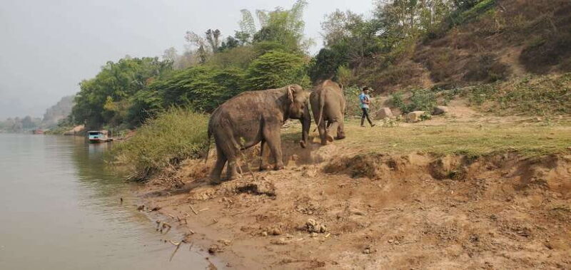 Nature wellness retreat - The Practical Details: Making the Most of Your Retreat