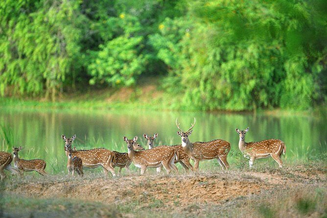 Nature & Wildlife - 10 Days Tour - Final Thoughts: Who Is This Tour For?