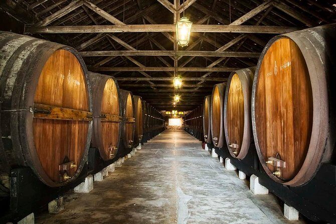 Nature, Wines and Ceramic Tiles: Private Tour - Introduction to the Tour Experience