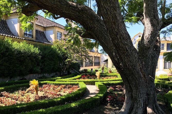 Nature, Wines and Ceramic Tiles: Private Tour - The Sum Up: Who is This Tour Best For?