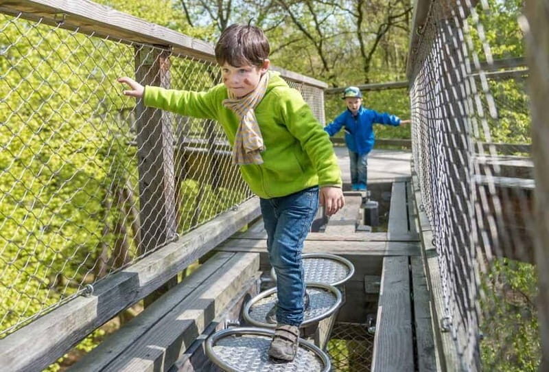 Naturerbe Zentrum Rügen & Treetop Walk Experience - The Sum Up