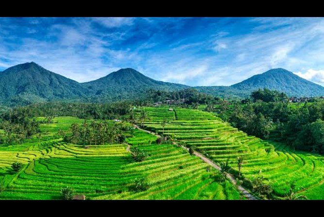 Nature's Beauty Unveiled: Jatiluwih Rice Terrace and Temple - Practical Considerations & Tips