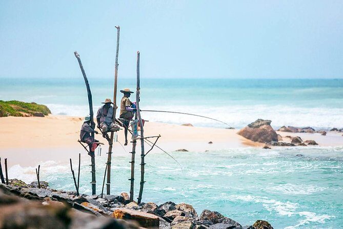 Natures Delight (4 Days) - Day 2: Wildlife Encounters at Udawalawe National Park