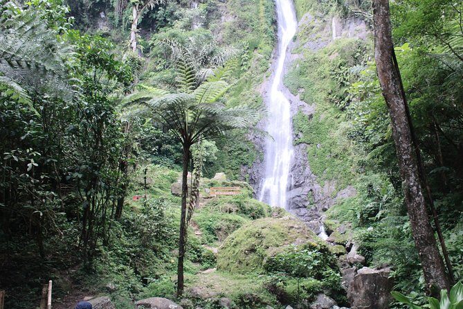 Nature's healing Bandung country side - A Closer Look at the Experience