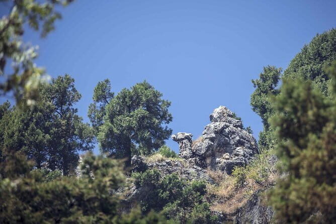 Nature's Trail: Dehradun to Mussoorie Private Day Trip - A Closer Look at the Itinerary