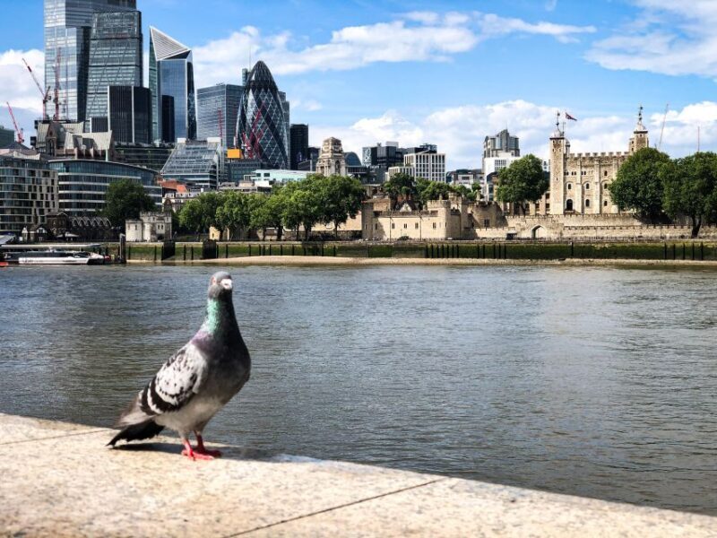 Naughty London: Unsavoury History Walking Tour - Key Points