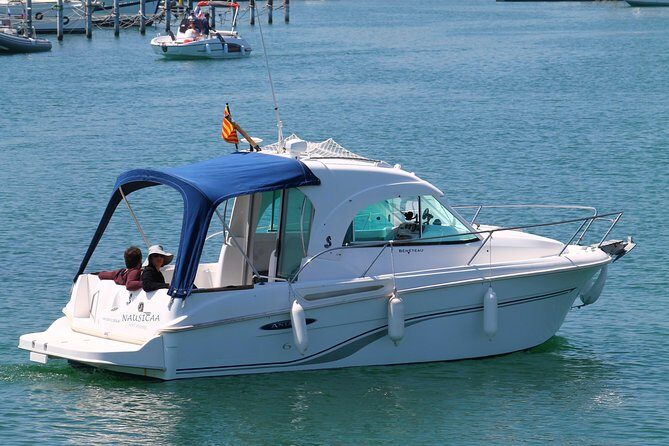 Nausicaa. Discover Collioure and the Côte Vermeille from the sea. - Key Points
