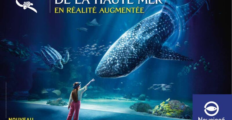 Nausicaá National Sea Center: Full-Day Entry Ticket - An Overview of Nausicaá’s Appeal
