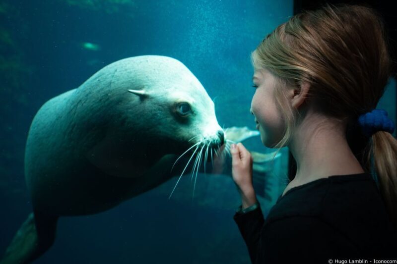 Nausicaá National Sea Center: Full-Day Entry Ticket - Summary: Who Will Love Nausicaá?