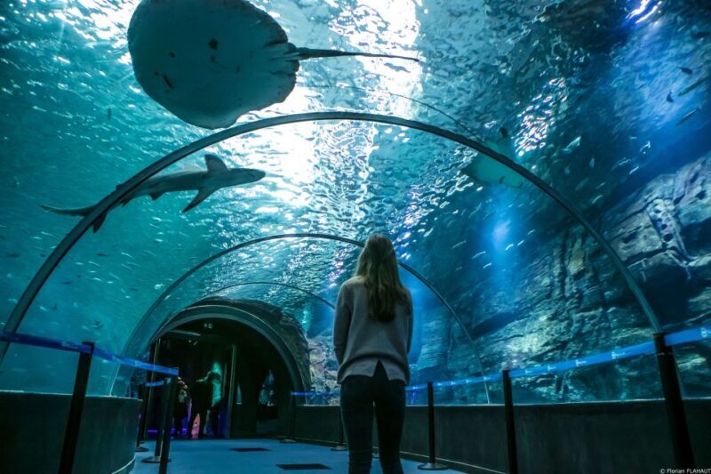 Nausicaá National Sea Center: Full-Day Entry Ticket - FAQ