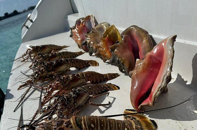 Nauti Dreams Private Boat Charter - Summing Up the Experience