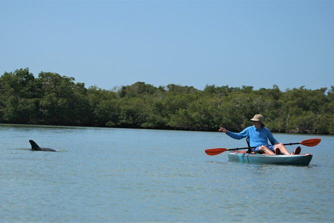 Nauti Exposures - Kayak rental Naples, FL - The Wildlife Encounters