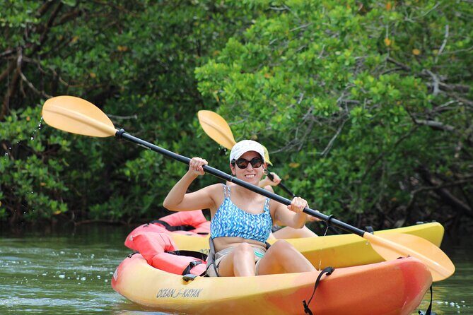 Nauti Exposures - Kayak rental Naples, FL - The Experience in Action