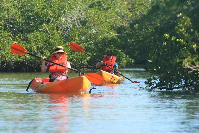 Nauti Exposures - Kayak rental Naples, FL - Who Should Book this Tour?