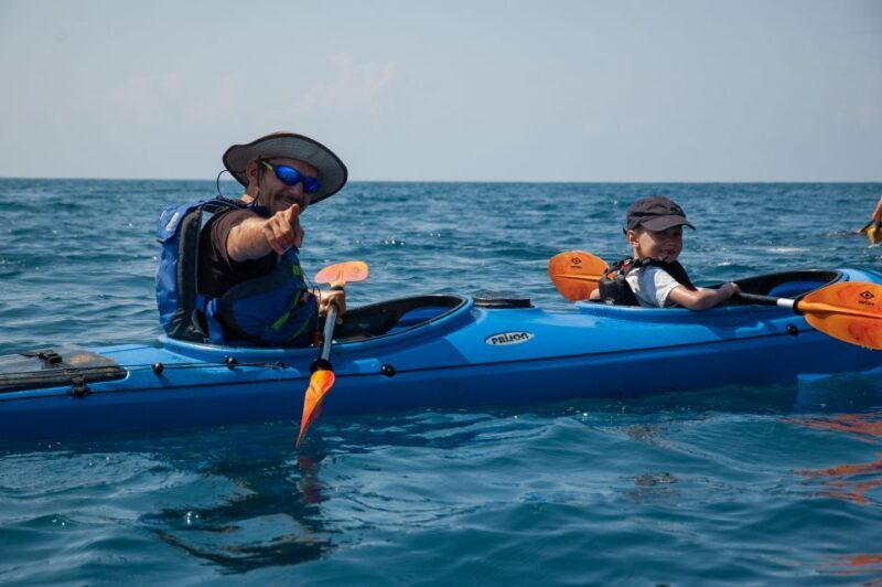 Navarino Bay: Sea Kayaking with Lunch - A Closer Look at Navarino Bay Sea Kayaking