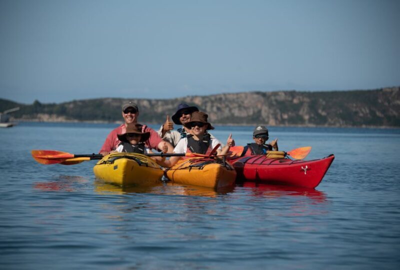Navarino Bay: Sea Kayaking with Lunch - The Sum Up