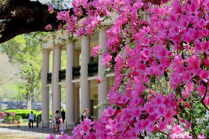 Nawlins Luxury: Double Plantation Whitney & Oak Alley with Transportation - Who Will Love This Tour?
