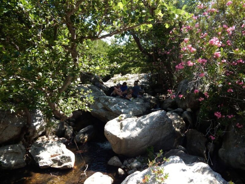 Naxos: A Riverbank Adventure (Kinidaros - Eggares villages) - Final Thoughts: Why Choose This Adventure?