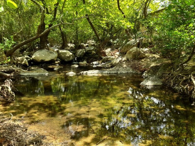 Naxos: A Riverbank Adventure (Kinidaros - Eggares villages) - FAQ