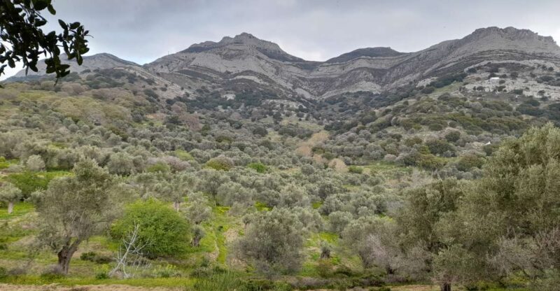 Naxos: Countryside hike among villages & Byzantine churches - Key Points