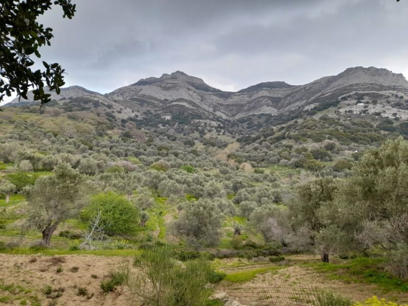 Naxos: Countryside hike among villages & Byzantine churches - An In-Depth Look at What to Expect