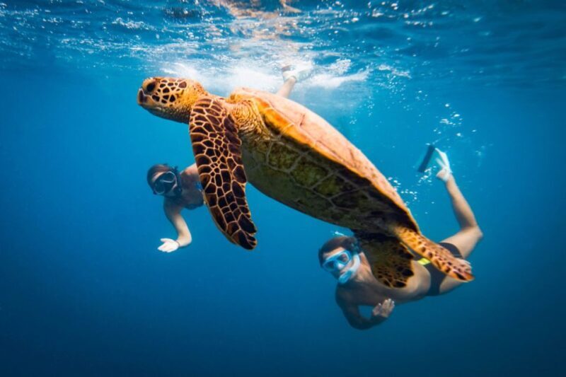 Naxos: Discover Scuba Diving on Agios Georgios Beach - Key Points