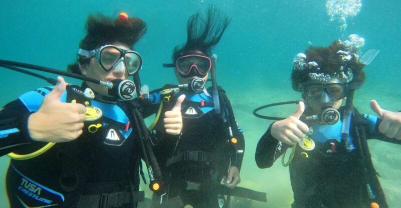 Naxos: Discover Scuba Diving on Agios Georgios Beach - The Marine Life and Scenery