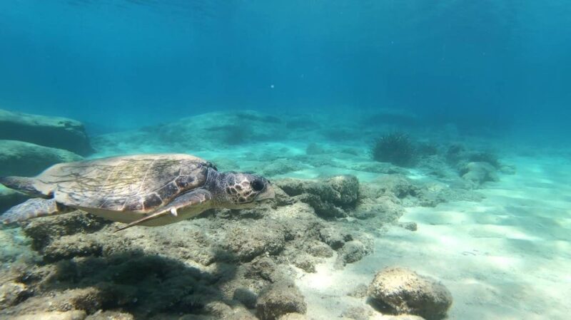 Naxos: Discover Scuba Diving - Your first experience diving - Final Thoughts