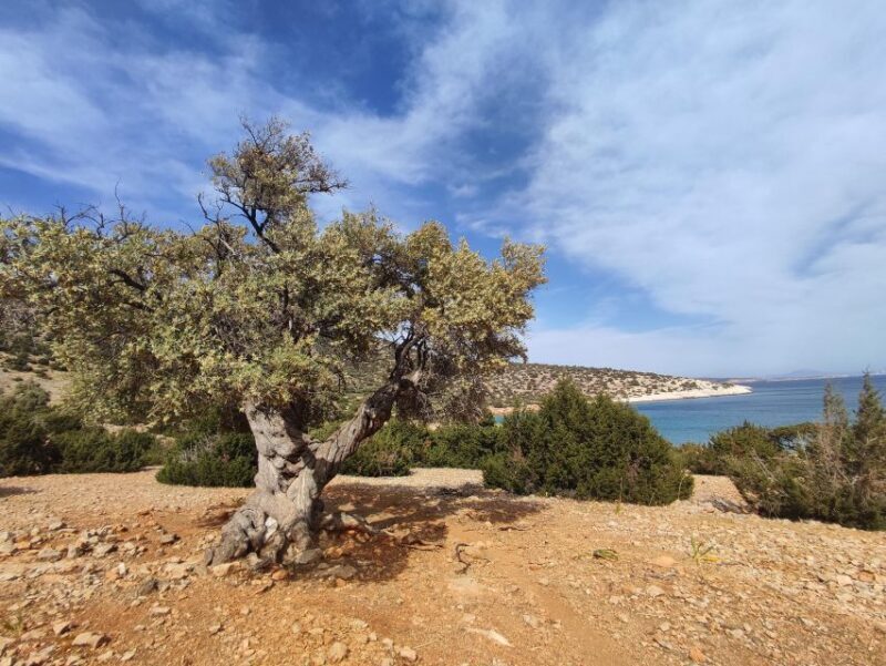 Naxos: Explore the cave of the unspoiled south-east coast! - FAQ