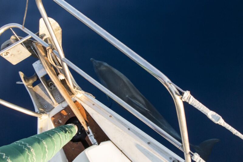 Naxos: Full-Day Small Cyclades Sailing Cruise - Summary: Is This Tour Right for You?