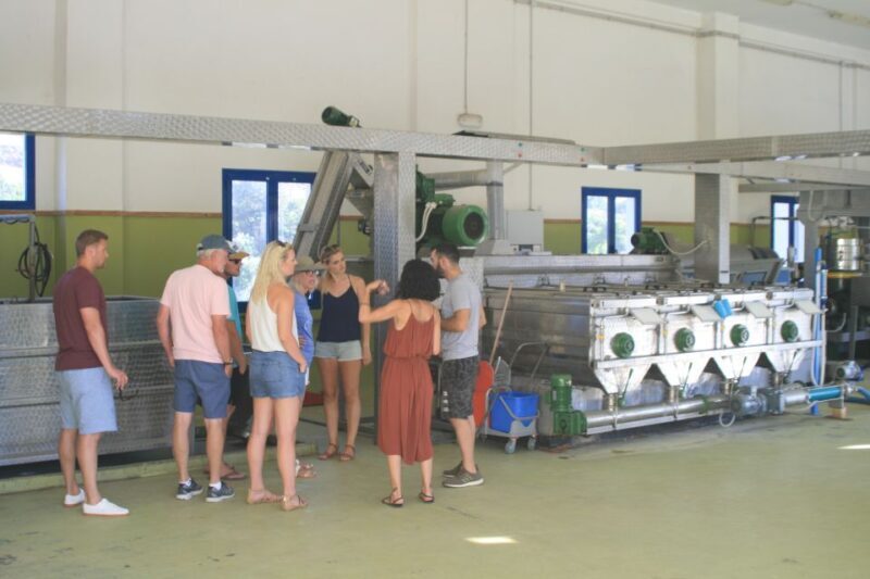 Naxos: Half-Day Olive Oil Tour with Tastings - About Philema Food Tours