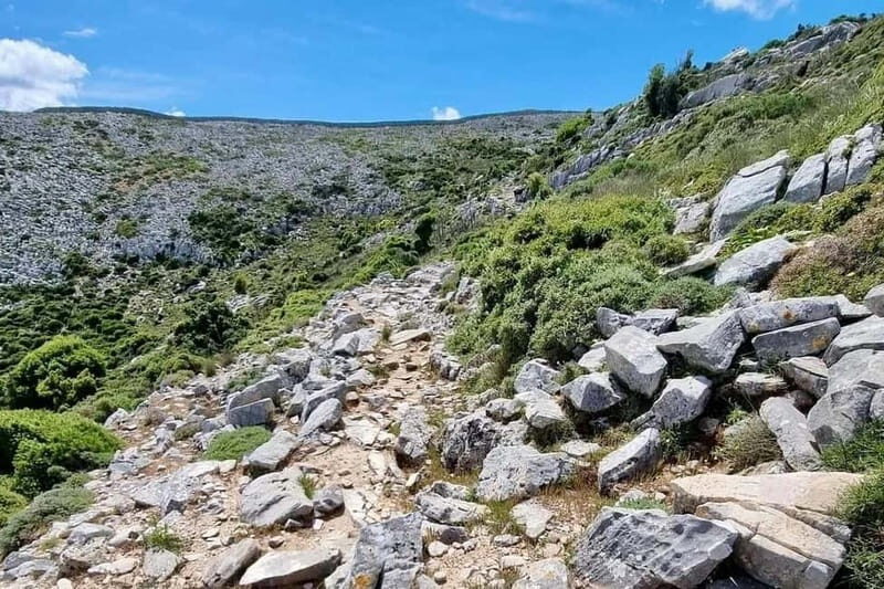 Naxos Hiking in Mount Zas - Who Is This Tour Best For?