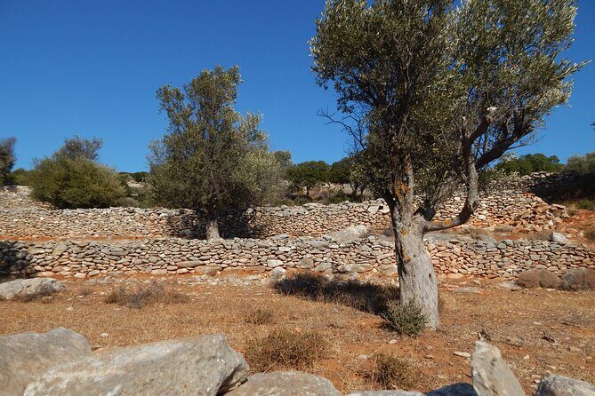Naxos: Inland hike to explore local villages & antiquities - A Walk Through Naxos: What to Expect from the Tour