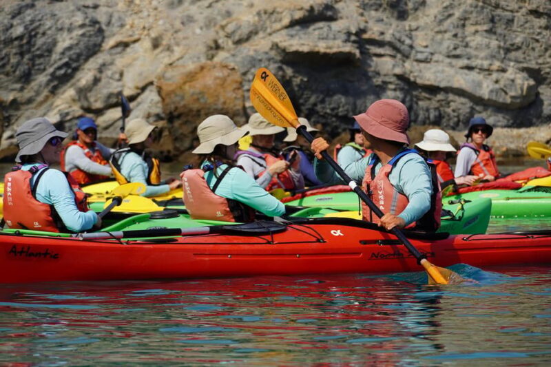 Naxos: Kampos Farm Sea Kayak Tour with Snorkeling & Picnic - Who Would Enjoy This Tour?