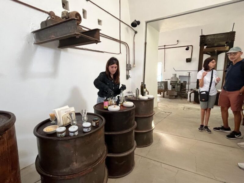 Naxos: Myths & Ancient Sites with Olive Oil tasting and Wine - An In-Depth Look at the Tour Experience