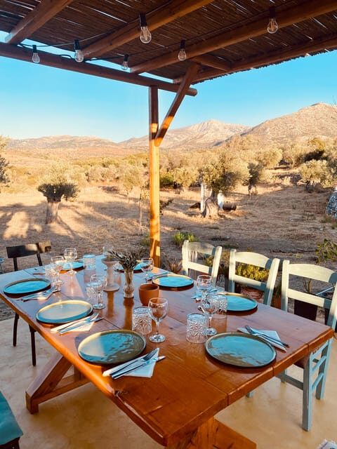 Naxos : Private BBQ night in the olive grove - Who Will Love It?