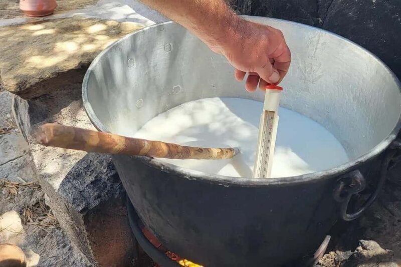 Naxos Private Cheese and Wine 6 Hour Experience - A Deep Dive into the Tour Experience
