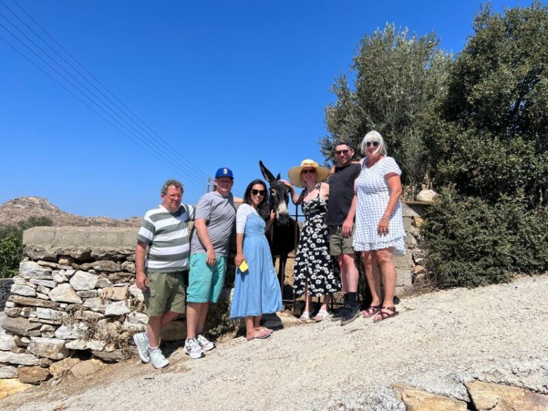 Naxos: Private Day Tour - Authentic Experience and Value for Travelers