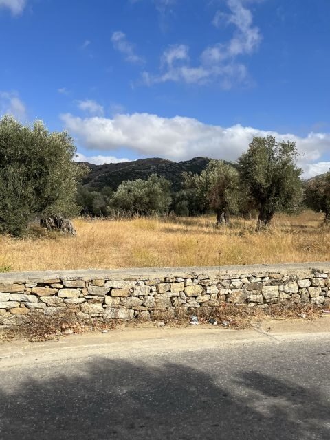 Naxos: Private E-Bike Tour with Wine Tasting Inland Methexis - Who Should Consider This Tour?