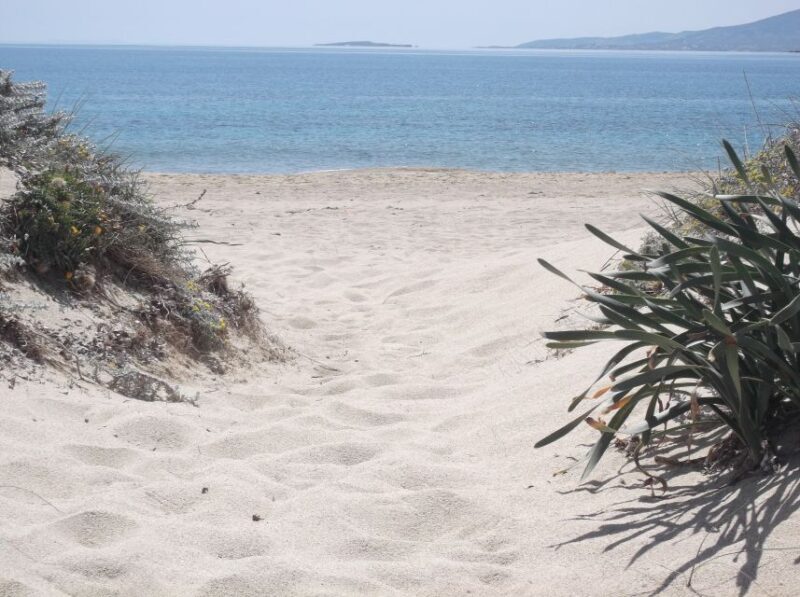 Naxos: Private Minibus Rental with an Experienced Driver - Why Choose This Private Minibus Experience?