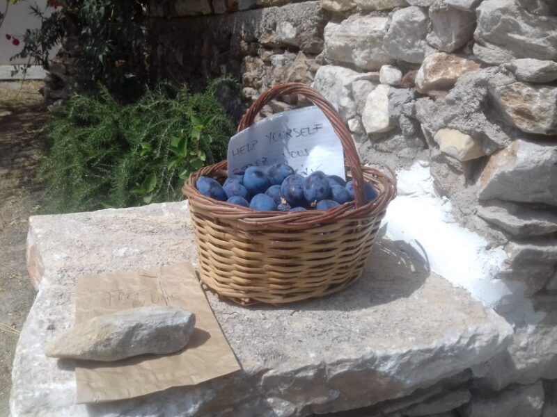 Naxos: Private Minibus Rental with an Experienced Driver - Who Will Love This Experience?