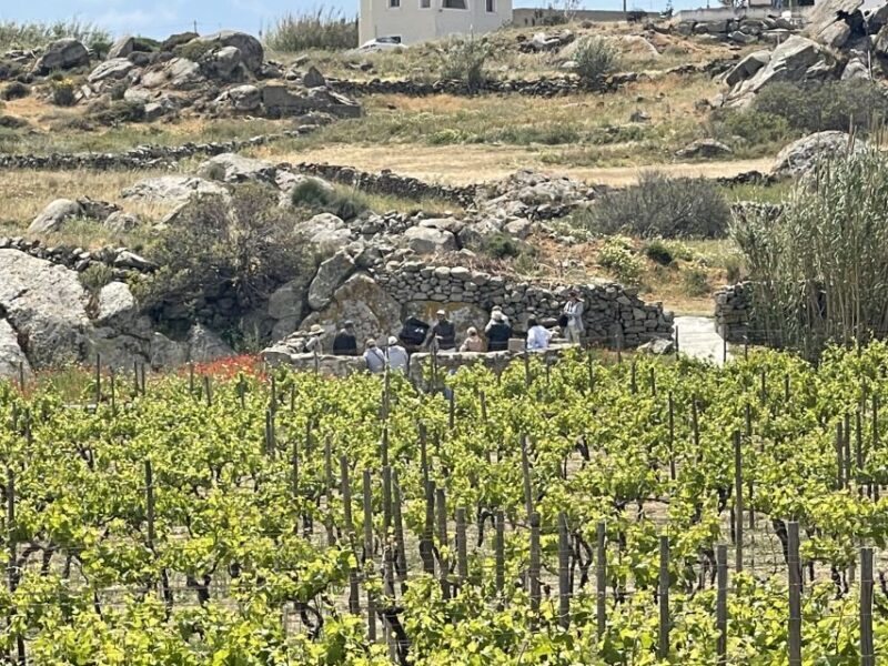 Naxos: Private Vineyard Tour & Wine Tasting with an Expert - Final Thoughts on Value and Authenticity