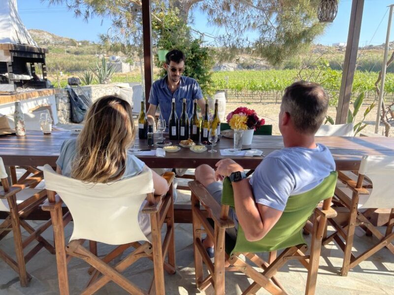 Naxos: Private Vineyard Tour & Wine Tasting with an Expert - Frequently Asked Questions