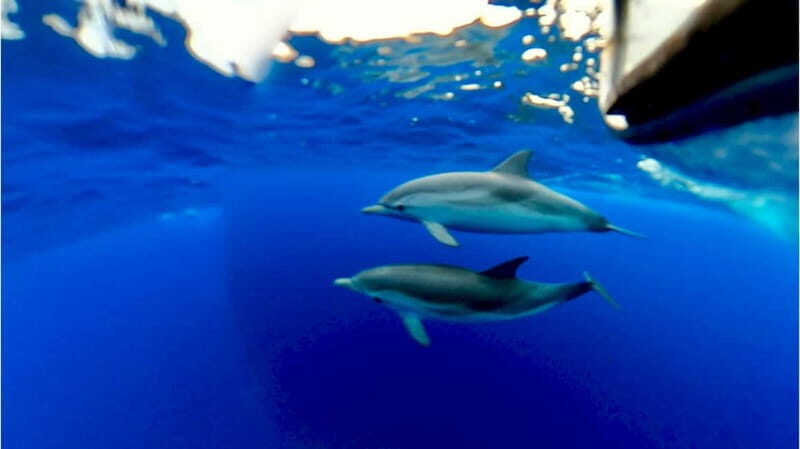 Naxos: Taormina Boat Tour with Snorkeling and Prosecco - FAQ