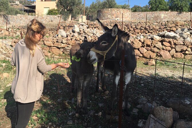 Naxos Villages Food Tour - Who Should Consider This Tour?